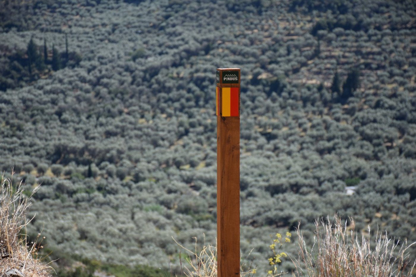 A section of the Pindus Trail, totaling 860 km in length, has been ...